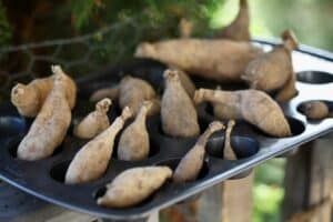 How To Dig Dahlia Tubers: Lift, Divide, and Store - Celtic Roots Farm