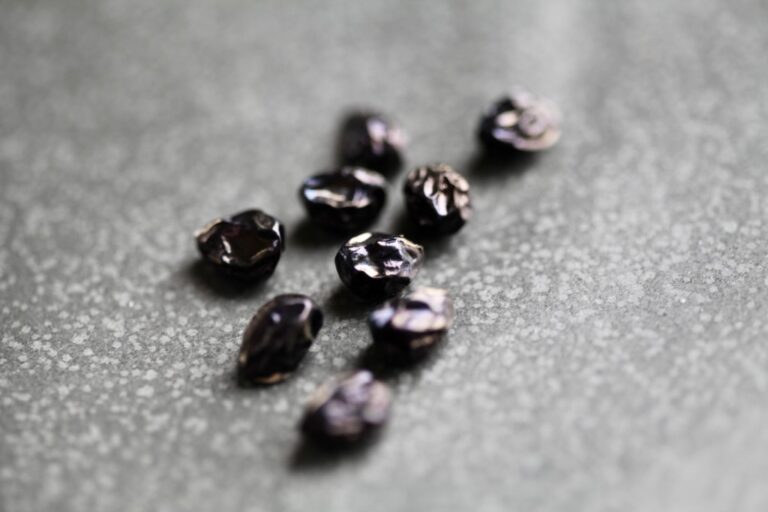 Starting Daylily Seeds: A Simple Guide For Beginners - Celtic Roots Farm